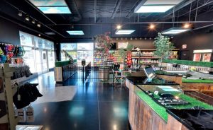 Experiential Retail Explained: 10 Examples and Insights